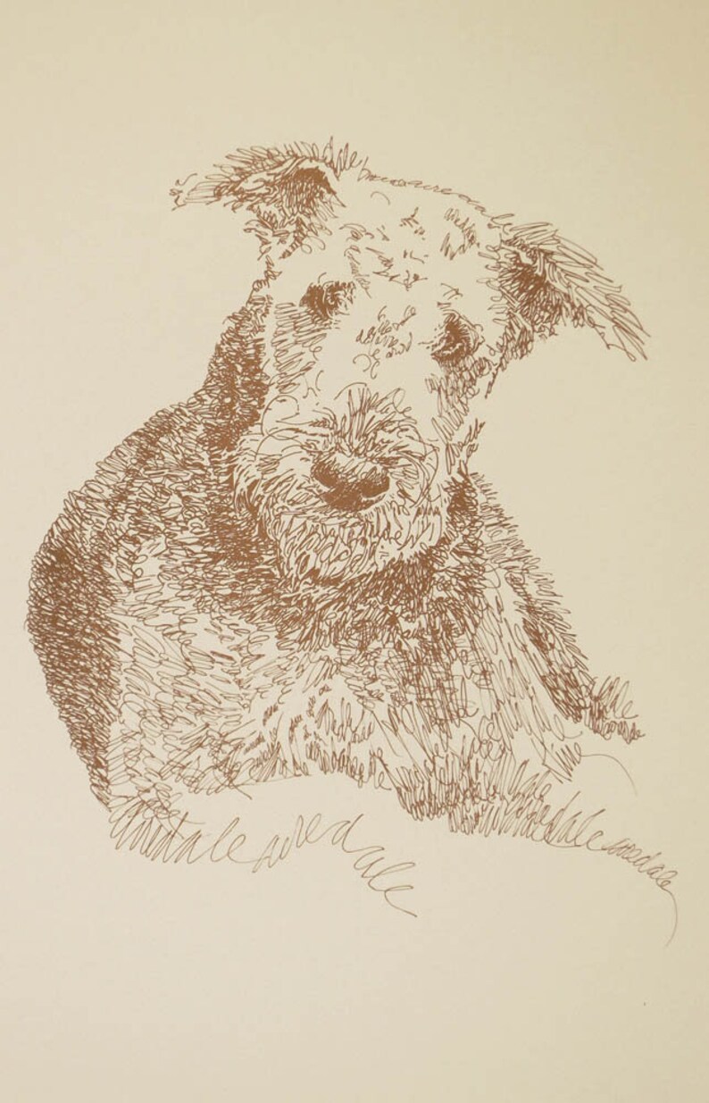 Clumber Spaniel Dog Art Portrait Drawing From Words. Your Dog's Name ...