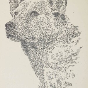 Clumber Spaniel Dog Art Portrait Drawing From Words. Your Dog's Name ...
