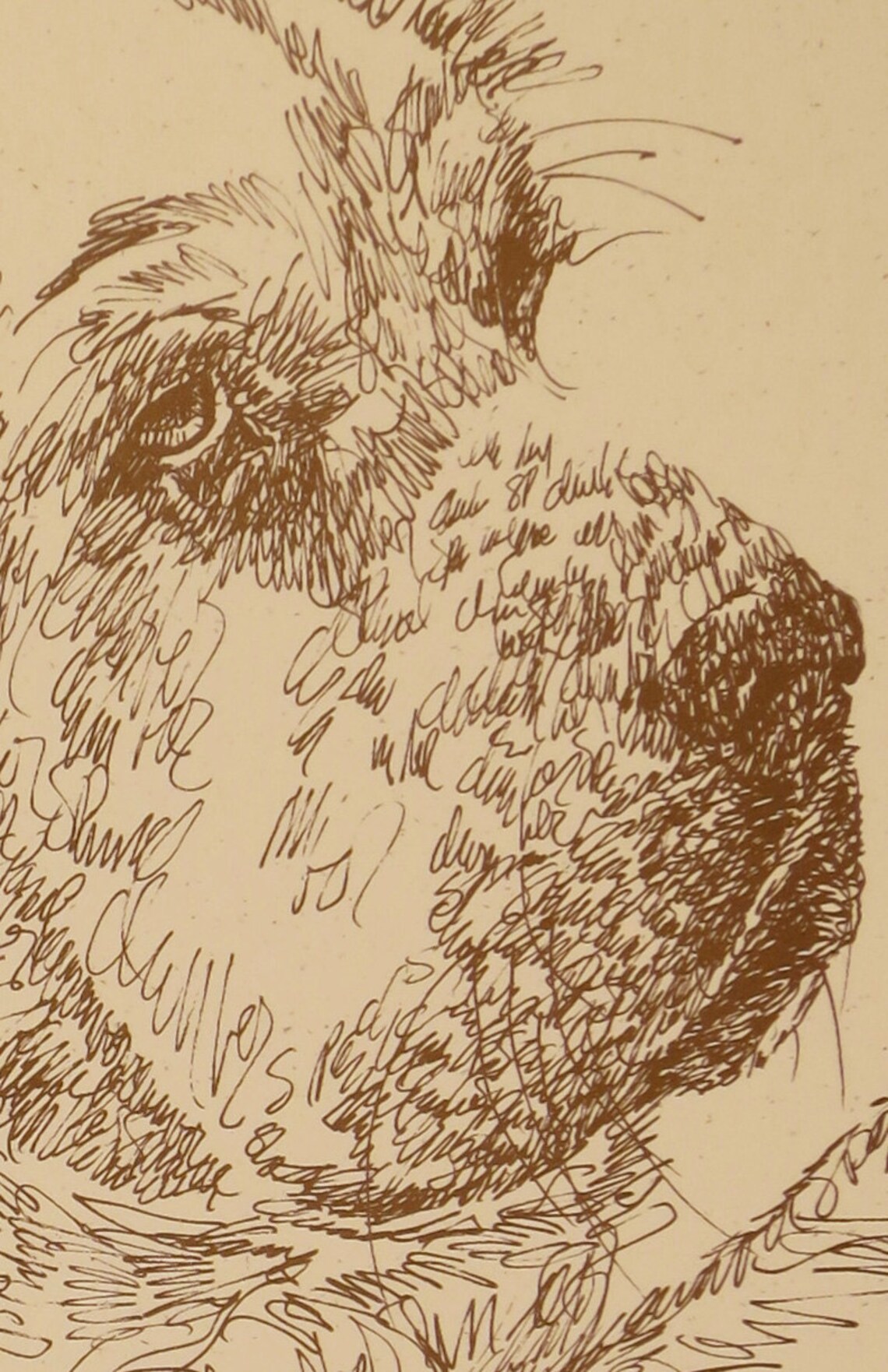 Clumber Spaniel Dog Art Portrait Drawing From Words. Your Dog's Name ...