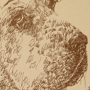 Clumber Spaniel Dog Art Portrait Drawing From Words. Your Dog's Name ...