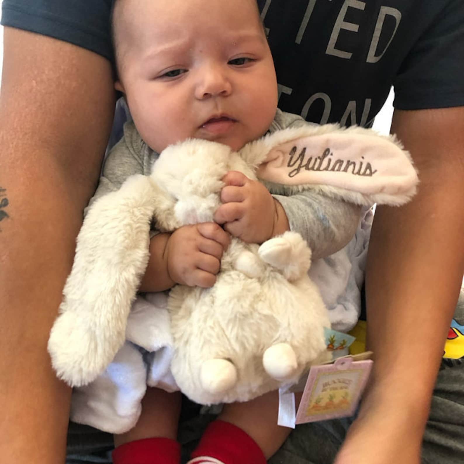Personalized Bunny Personalized Baby Gift Stuffed Bunny With - Etsy