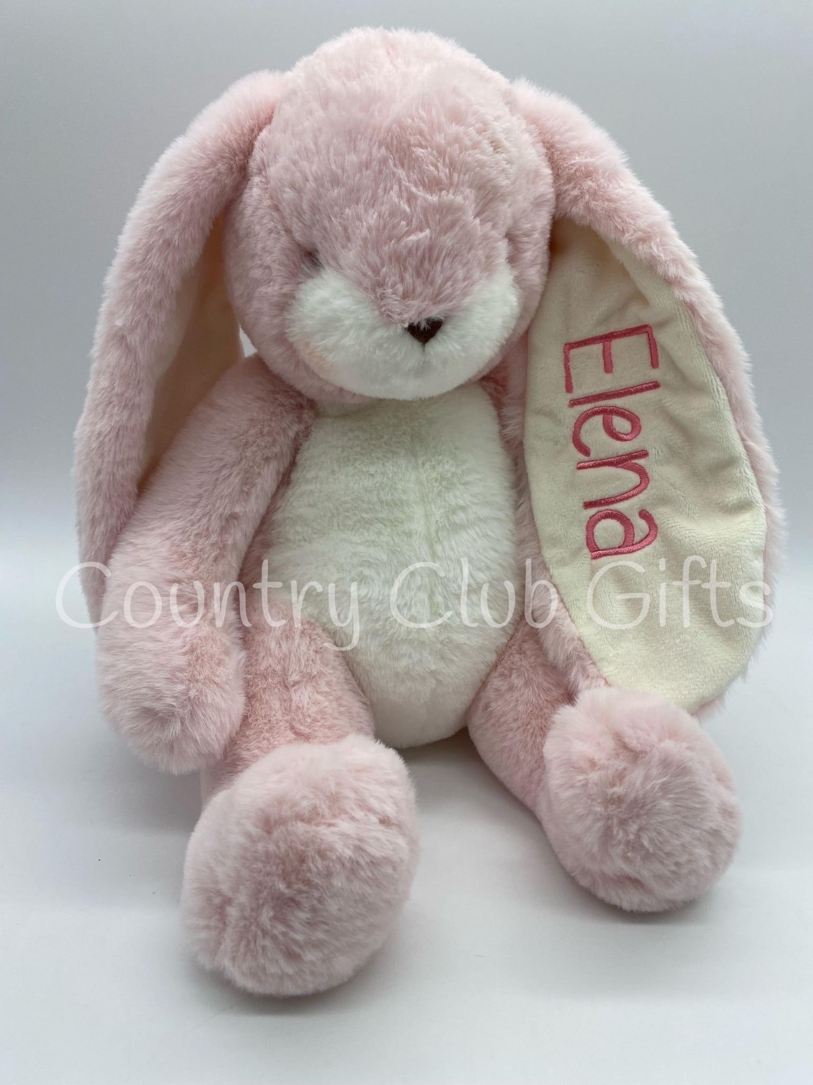 Personalized Bunny Baby Gift Stuffed Bunny Custom Bunny | Etsy