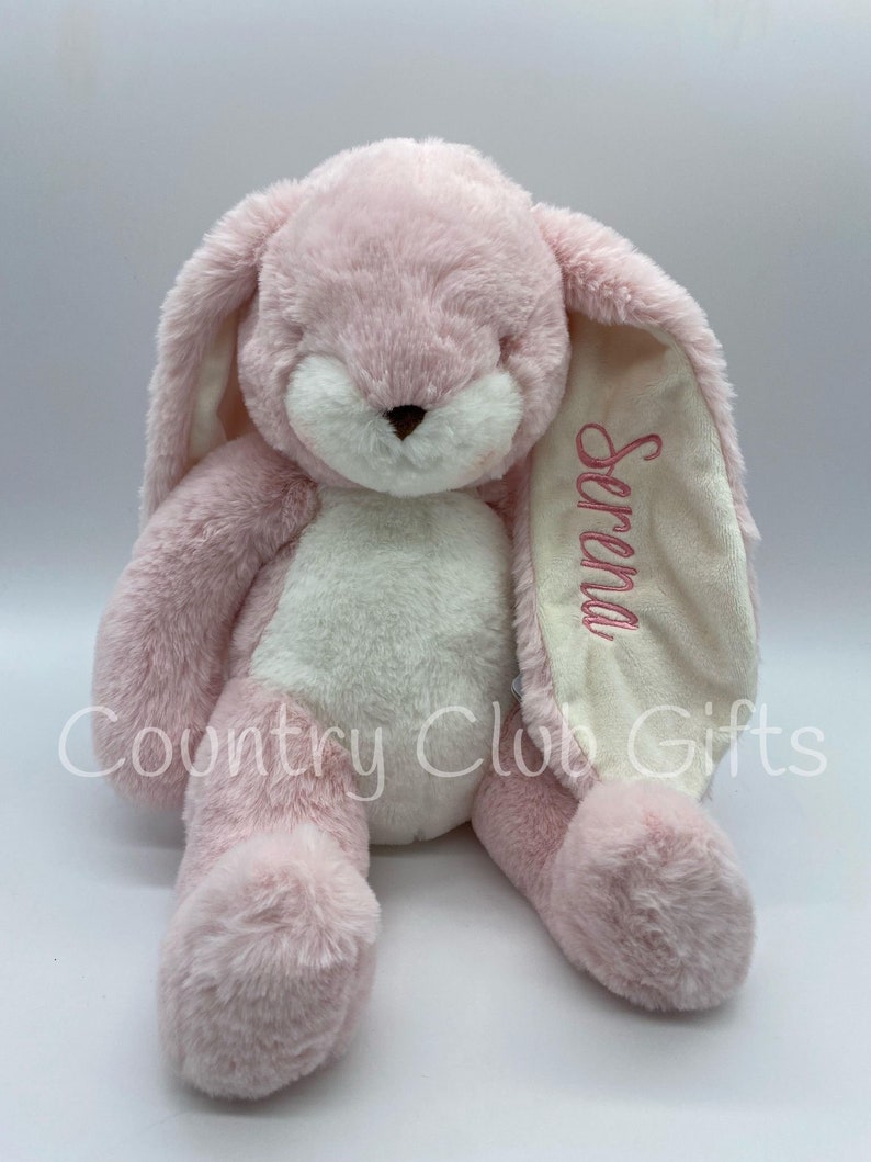 Personalized Bunny Baby Gift Stuffed Bunny Custom Bunny | Etsy