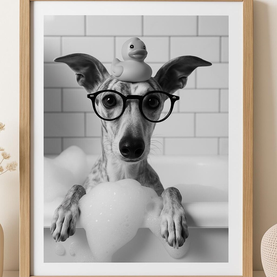 Funny Whippet in Bubble Bath Print – Quirky Dog Art (digital JPG) - Etsy