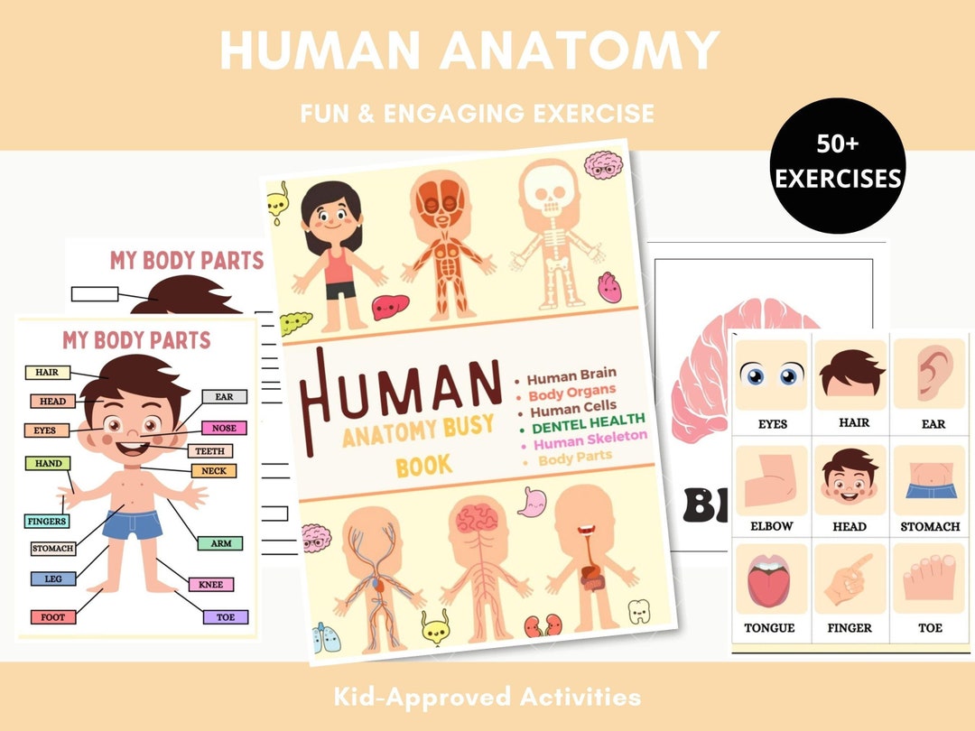 Human Anatomy Games for Kids Fun Engaging Learning Activities Perfect ...