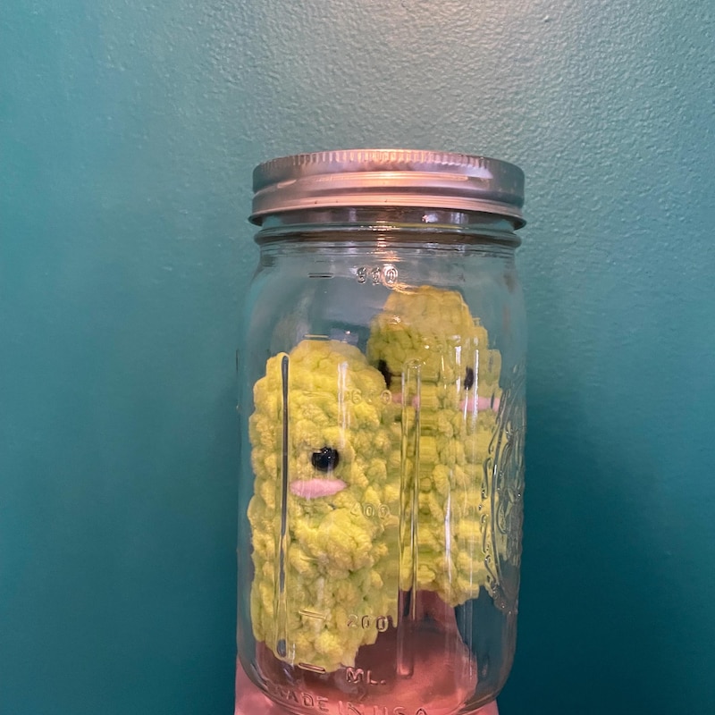 Pickle Squishy - Etsy