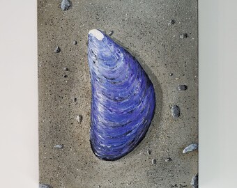 Maine Mussel Shell, Miniature Canvas Acrylic Painting - Etsy