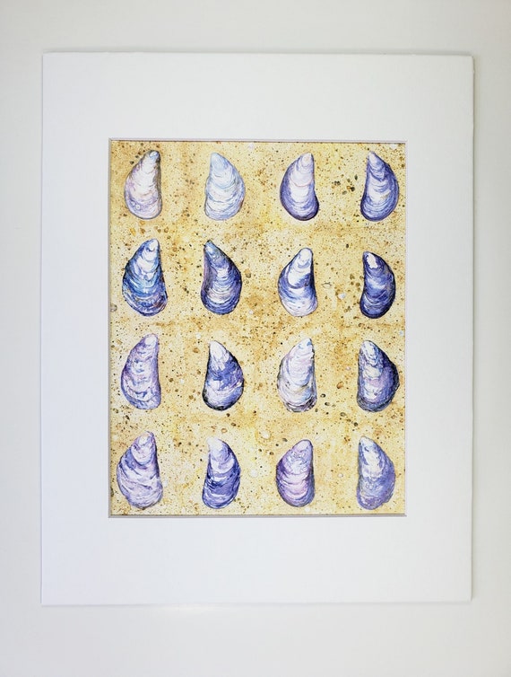 Maine Mussel Shells 8x10 Fine Art Print 11x14 Mat & Back - Etsy