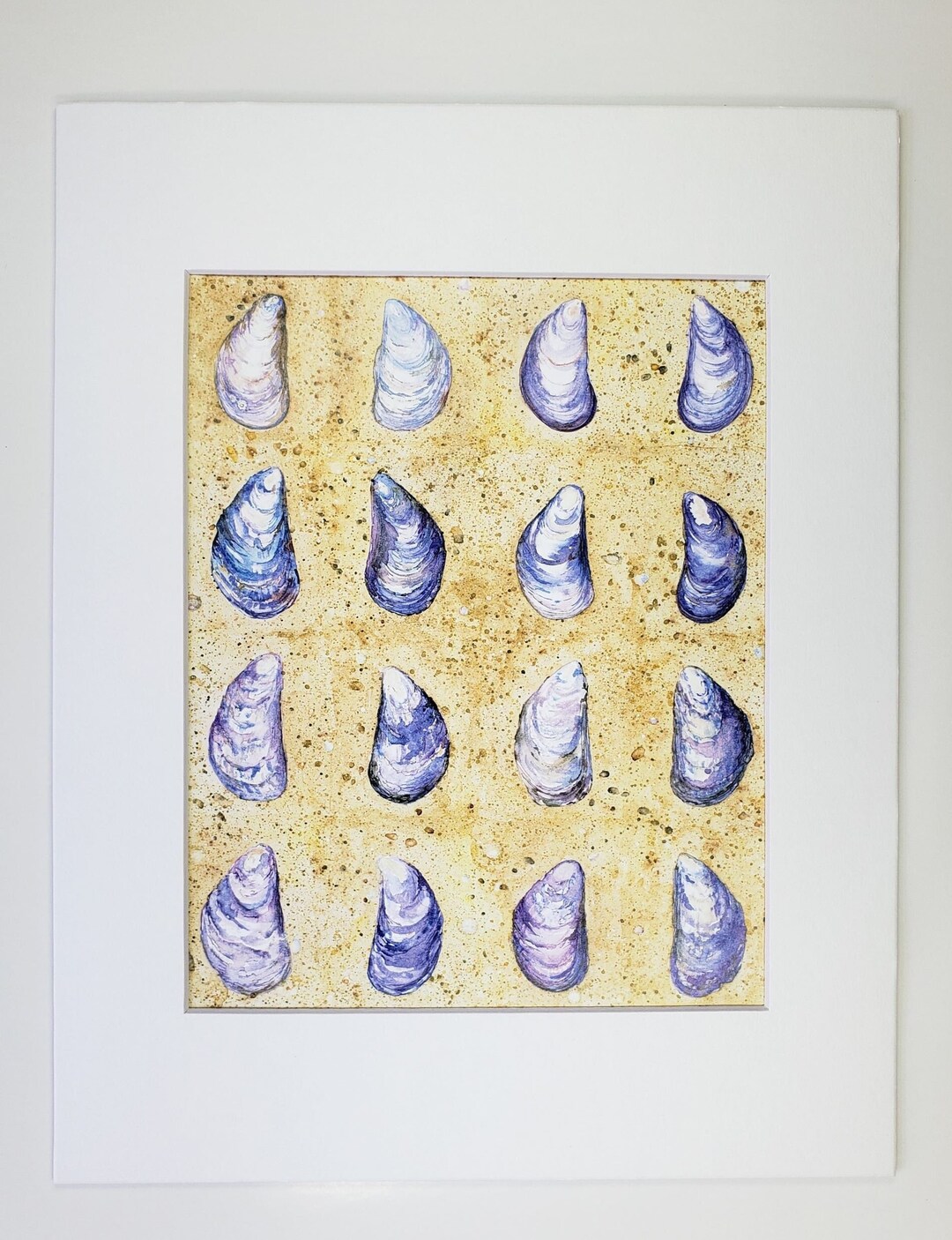 Maine Mussel Shells, 8x10 Fine Art Print - Etsy