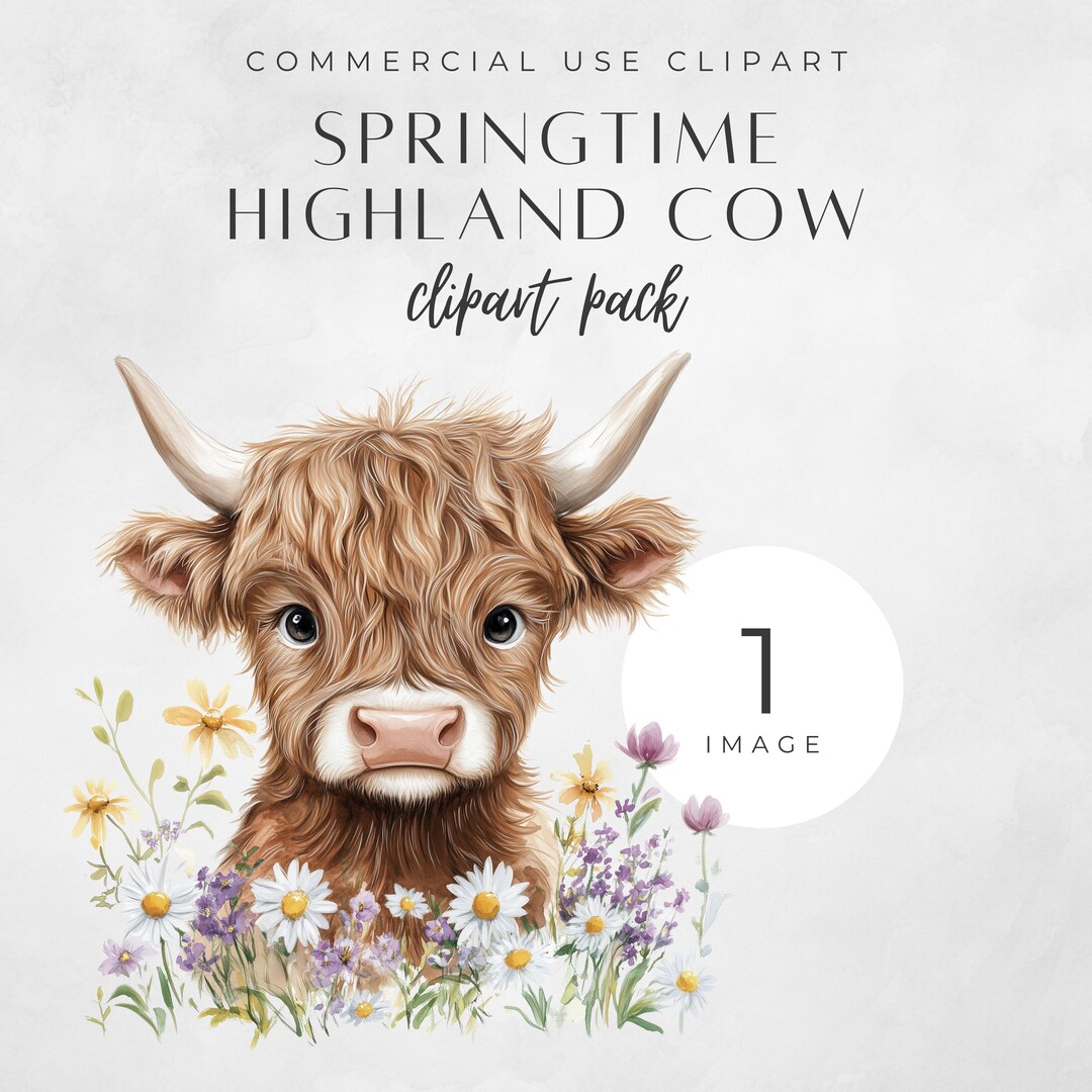 Baby Highland Cow Floral Clipart PNG | Holy Cow Baby Shower | Highland ...