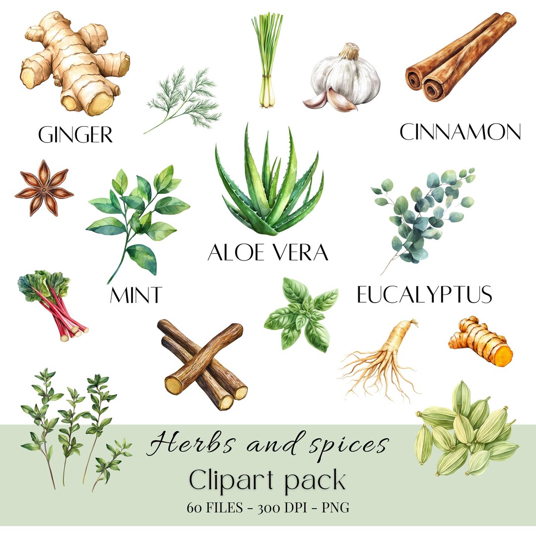 Medicinal Herbs and Spices Clipart | Herbal Remedies Png | Medicinal ...