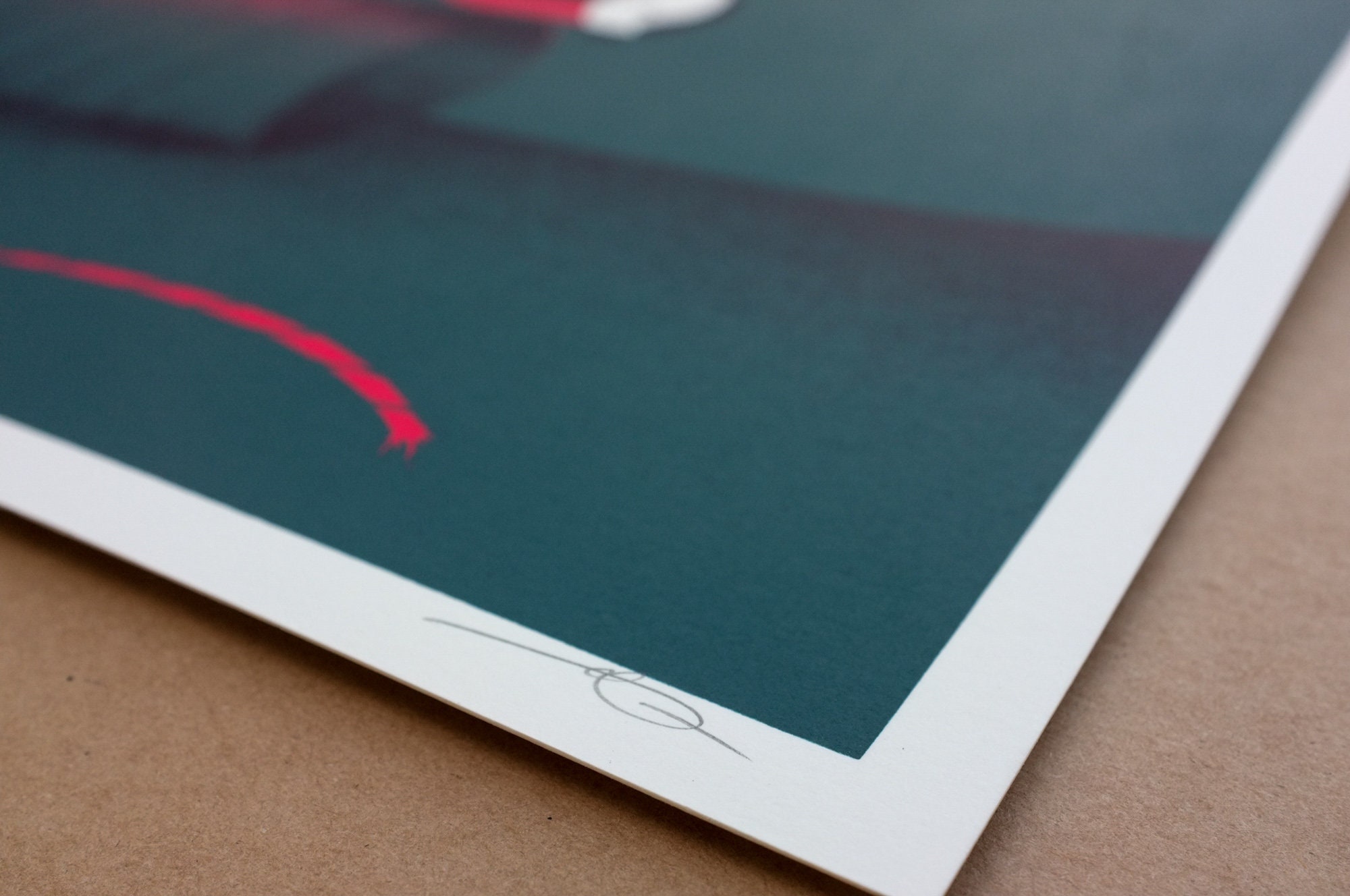 Birds Screen Print Nature Wall Art Decor Retro Illustration | Etsy