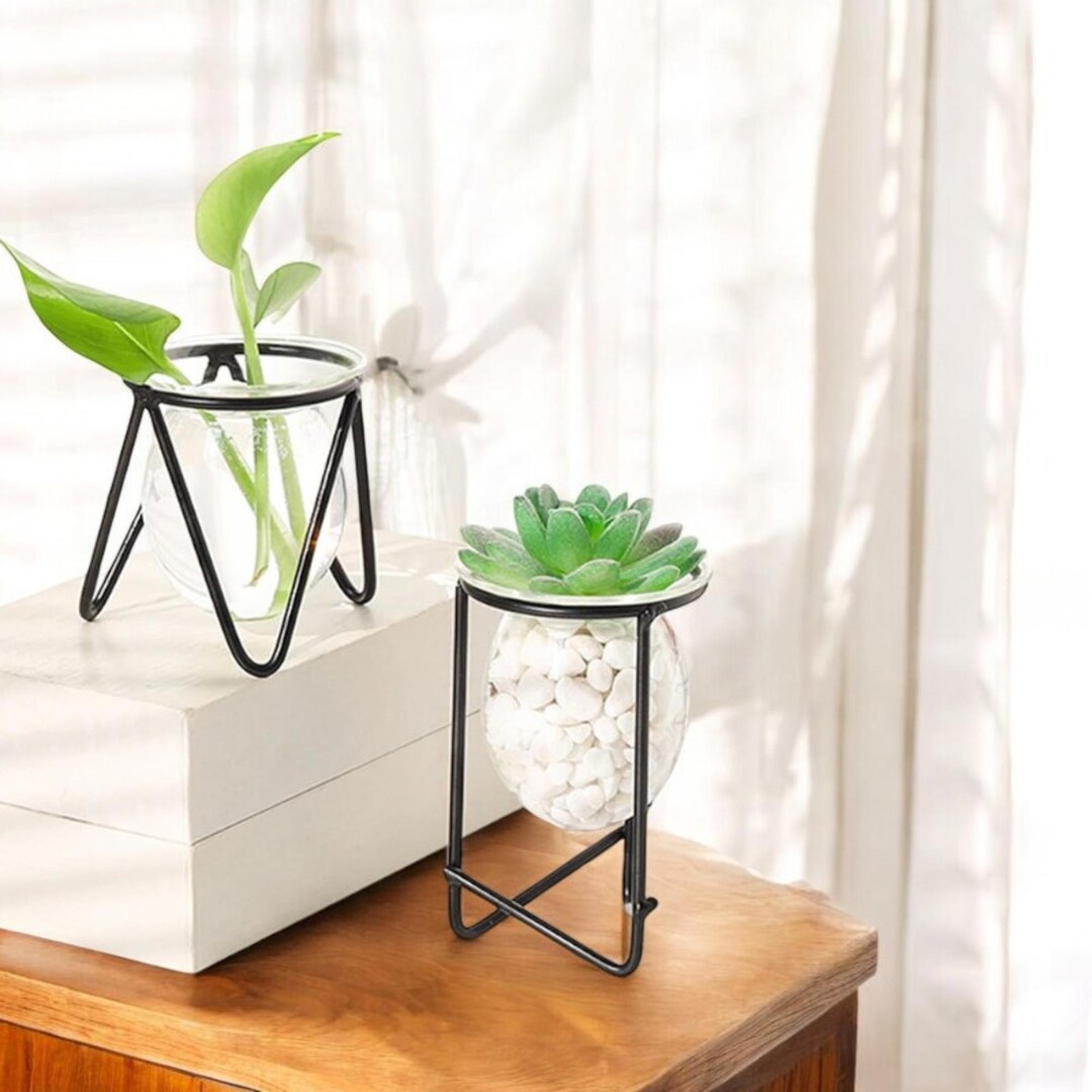 Decorative Hydroponic System Elegant Glass Vase With Test Tubes Ideal ...