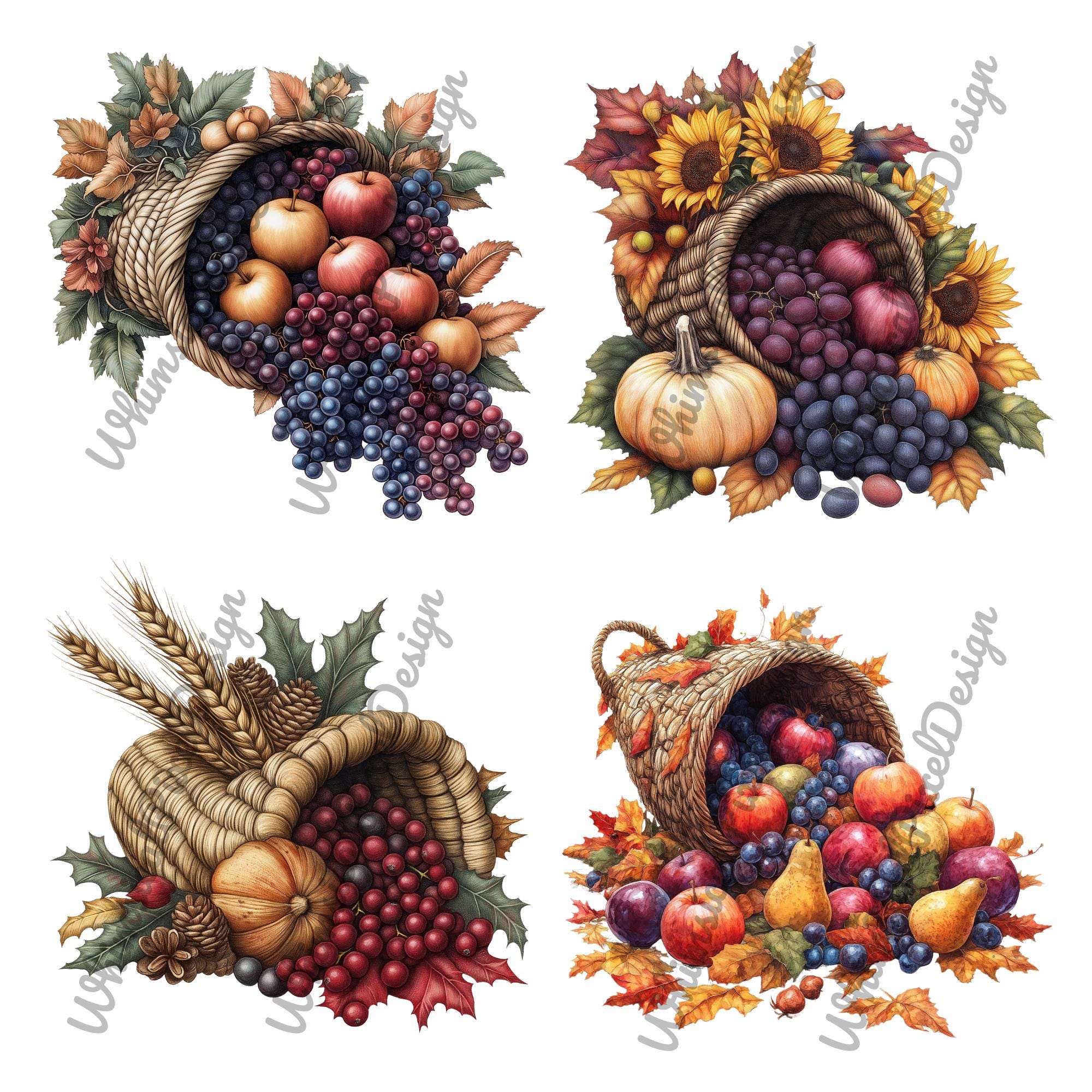 Thanksgiving Clipart Cornucopia Png Thanksgiving Items Fall Decor ...