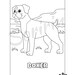13 Dog Coloring Pages. Relaxing Coloring for Kids. - Etsy