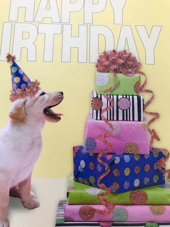 Stoner Hond Verjaardag Meme