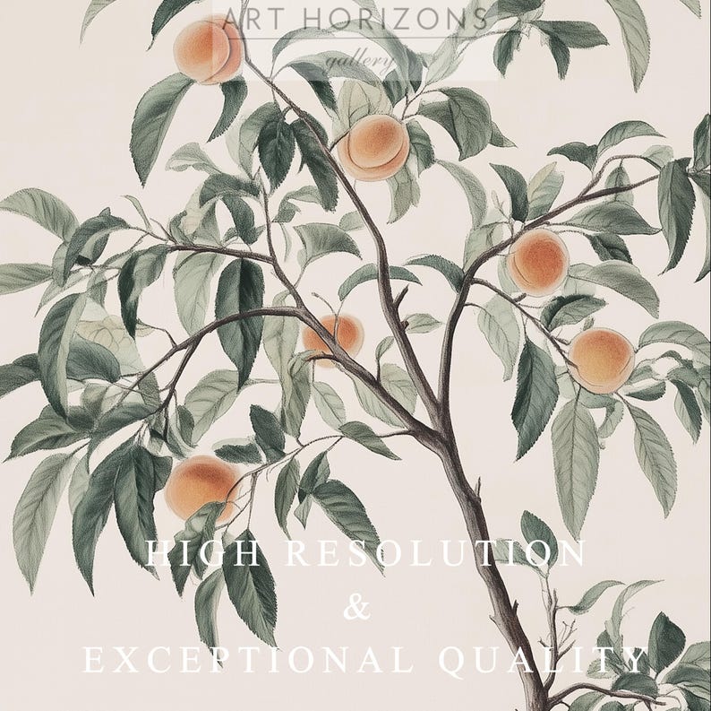 Peach Sketch Botanical Printable Wall Art Peach Tree Print Farmhouse ...