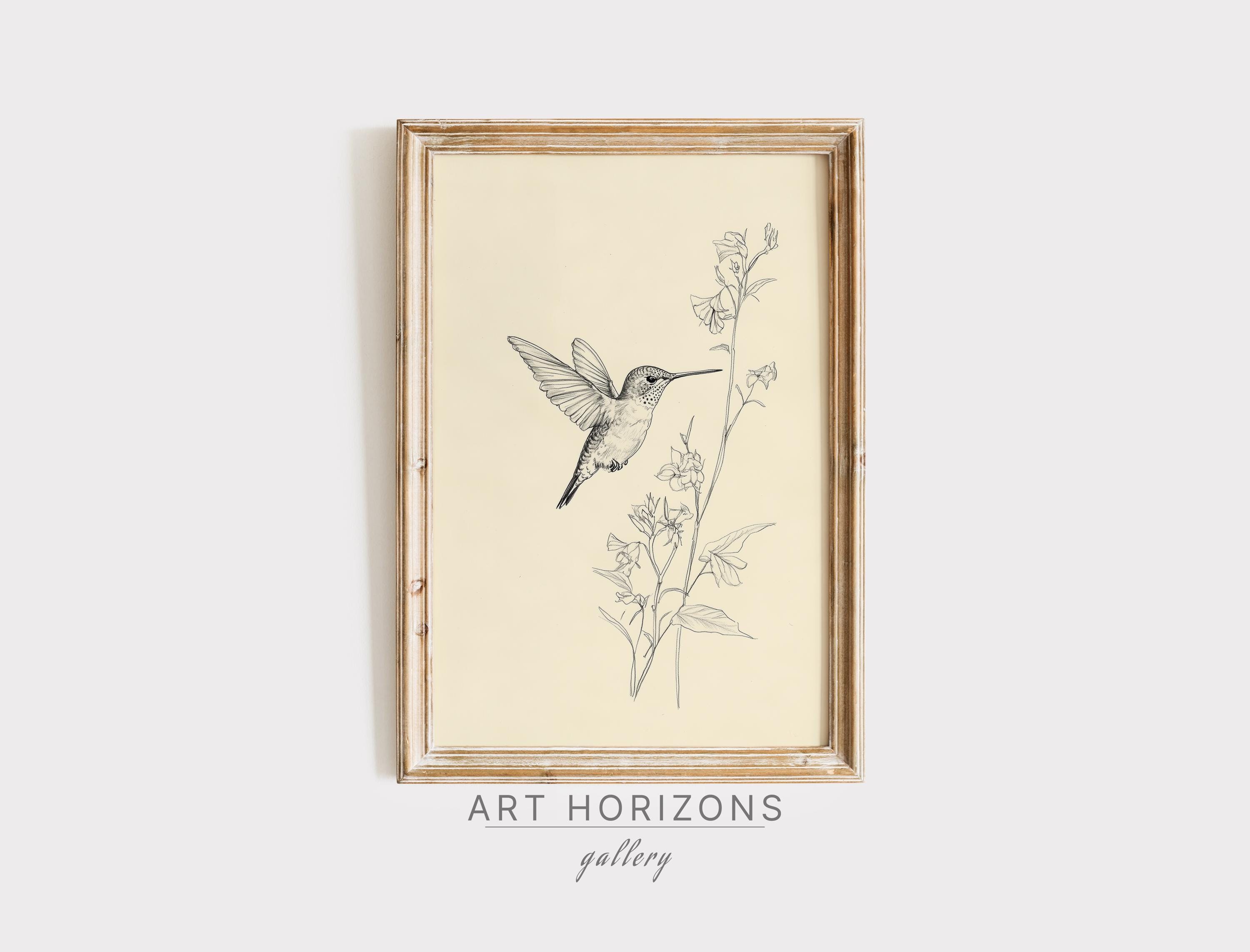 Vintage Hummingbird Sketch Bird PRINTABLE Wall Art Digital Illustration ...