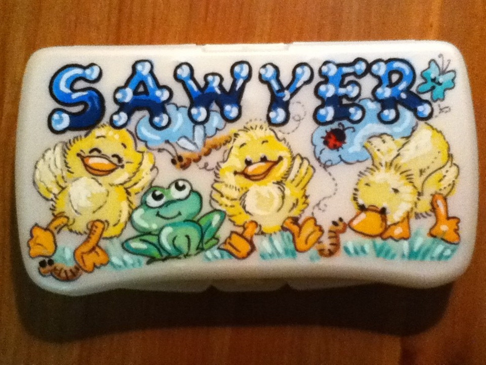 Baby Wipes Travel Case Happy Ducks and a Frog Hand Painted | Etsy