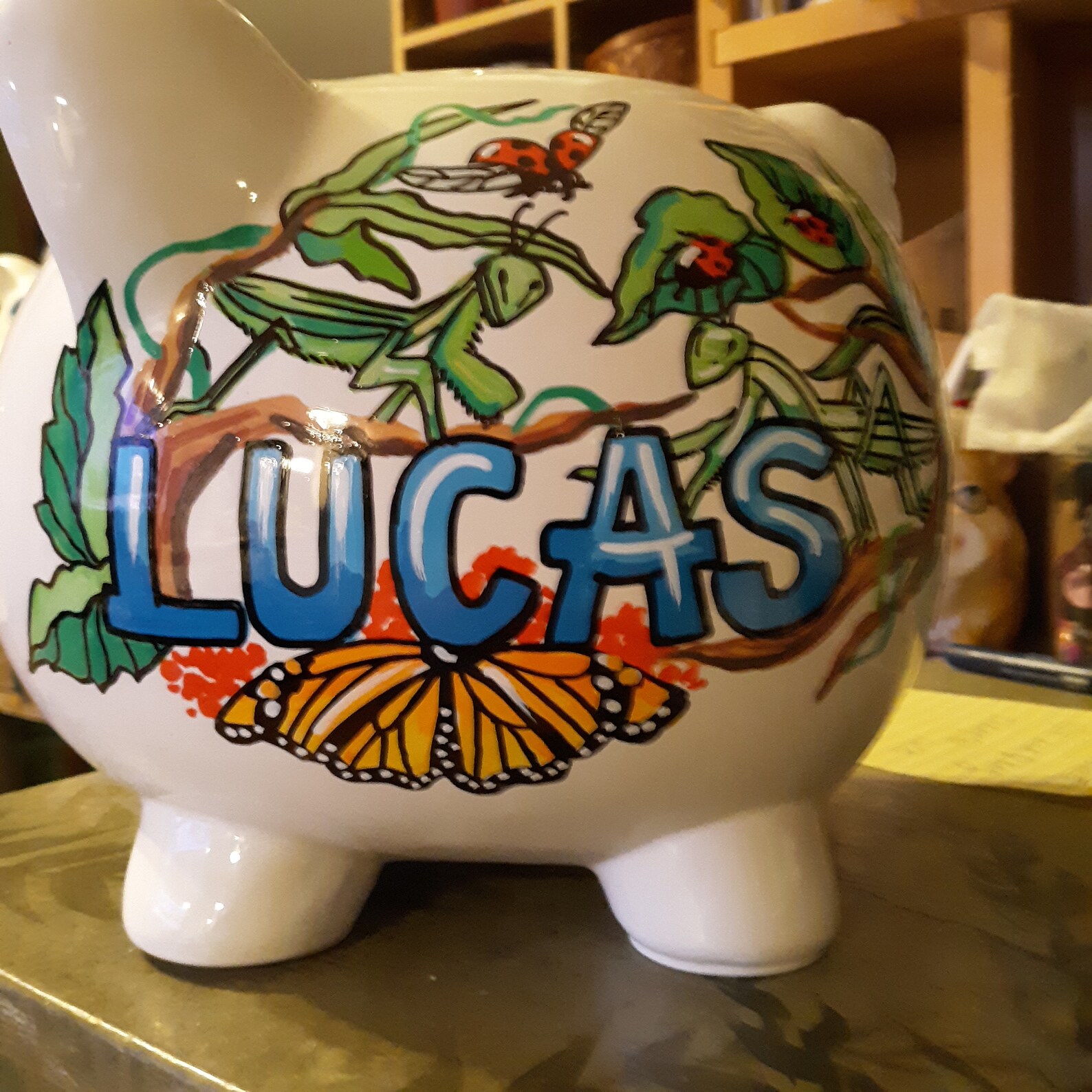 Realistic Bug Piggy Bank Praying Mantis Bugs Design Butterfly ...