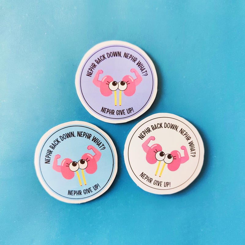 Funny Kidney Stickers - Etsy