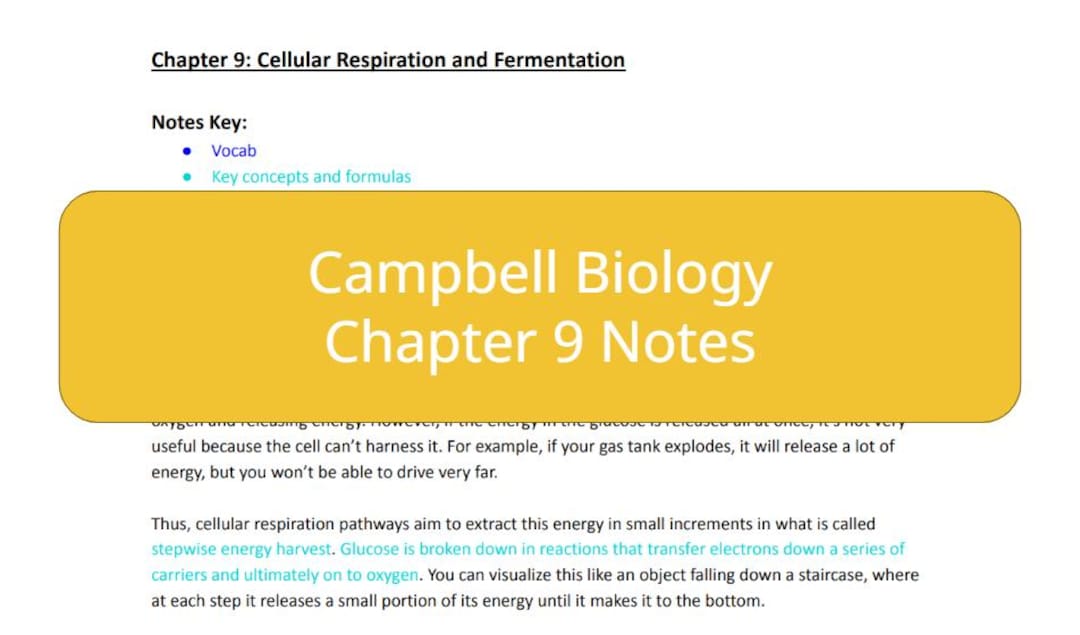 Campbell Chapter 9 Notes | Cellular Respiration and Fermentation ...