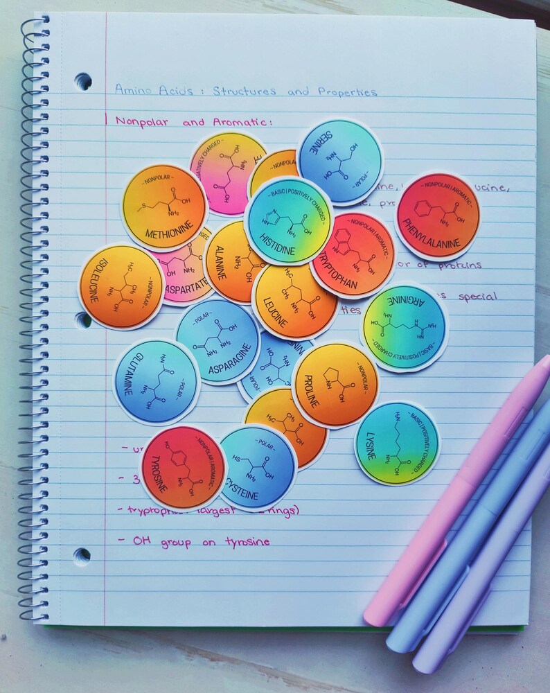 Amino Acid Stickers | Chemical Structure, Properties, Name | MCAT, AP ...