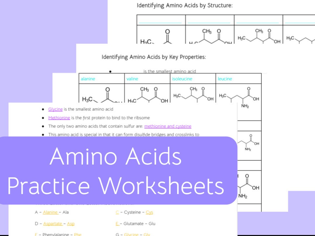 Amino Acids Comprehensive Practice Worksheet W/answer Key | MCAT, AP ...