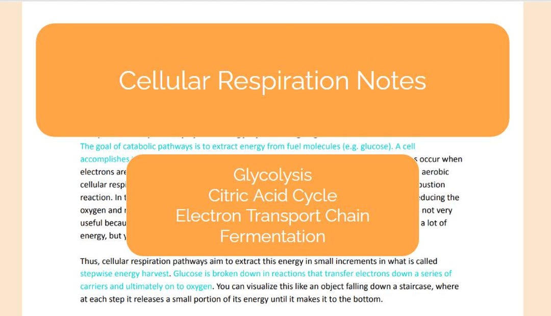 Cellular Respiration Complete Notes | Glycolysis, Krebs Cycle, Electron ...