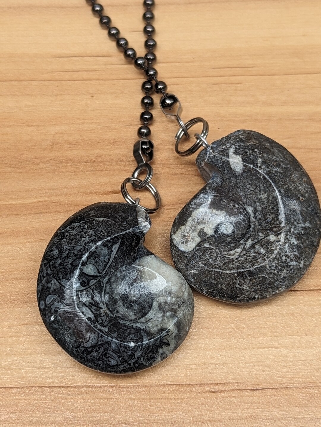 Matched Ammonite Fossils Fan Pulls: Black Ceiling Fan Chain Set - Etsy