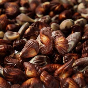 Guylian Belgian Chocolate Sea Shells in a White Gift Box - 500g Net ...