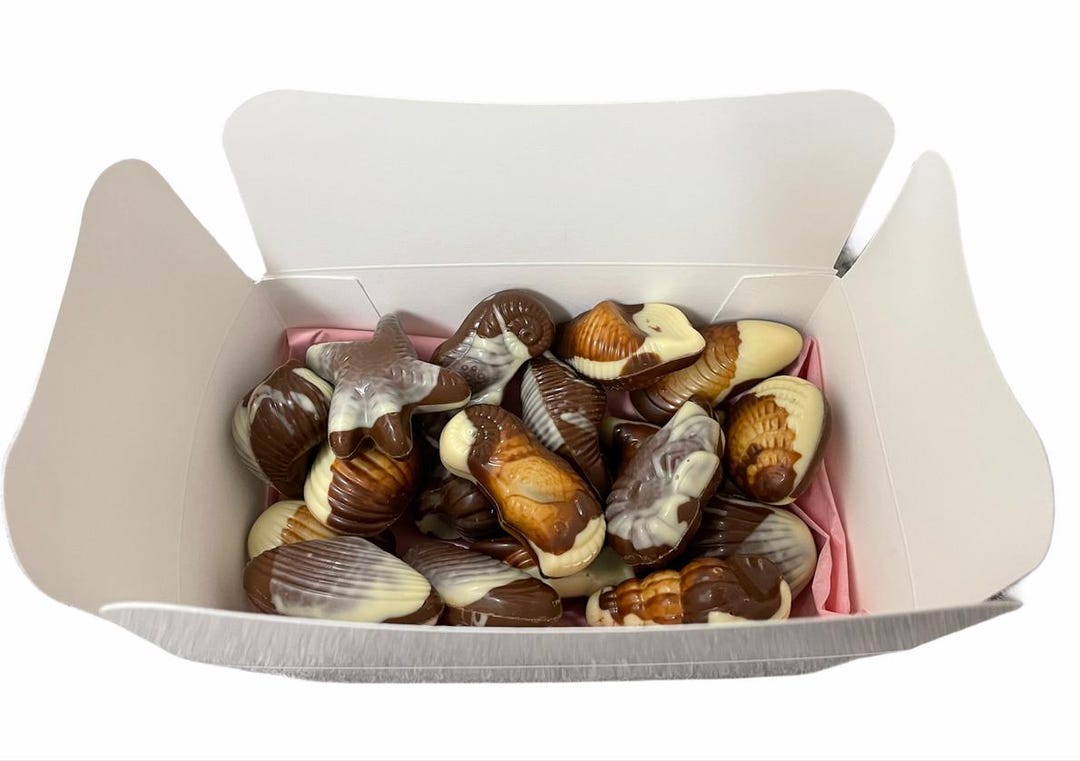 Guylian Belgian Chocolate Sea Shells in a White Gift Box - 500g Net ...