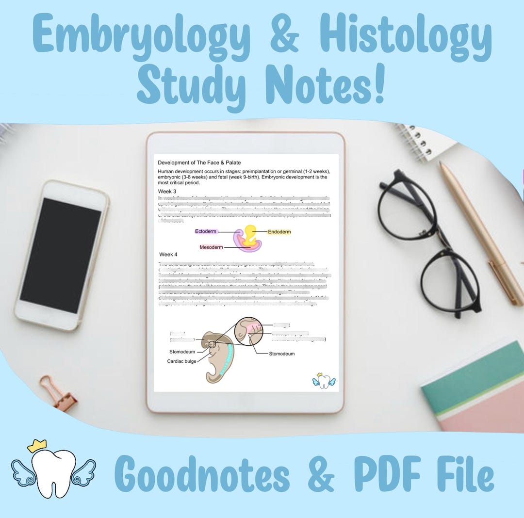 Embryology and Histology Development of the Oral Cavity and Facial ...