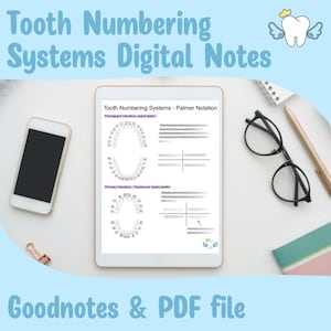 Dental Tooth Numbering Systems Notes Universal, Palmer, ISO FDI Dental ...