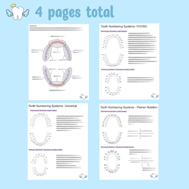 Dental Tooth Numbering Systems Notes Universal, Palmer, ISO FDI Dental ...