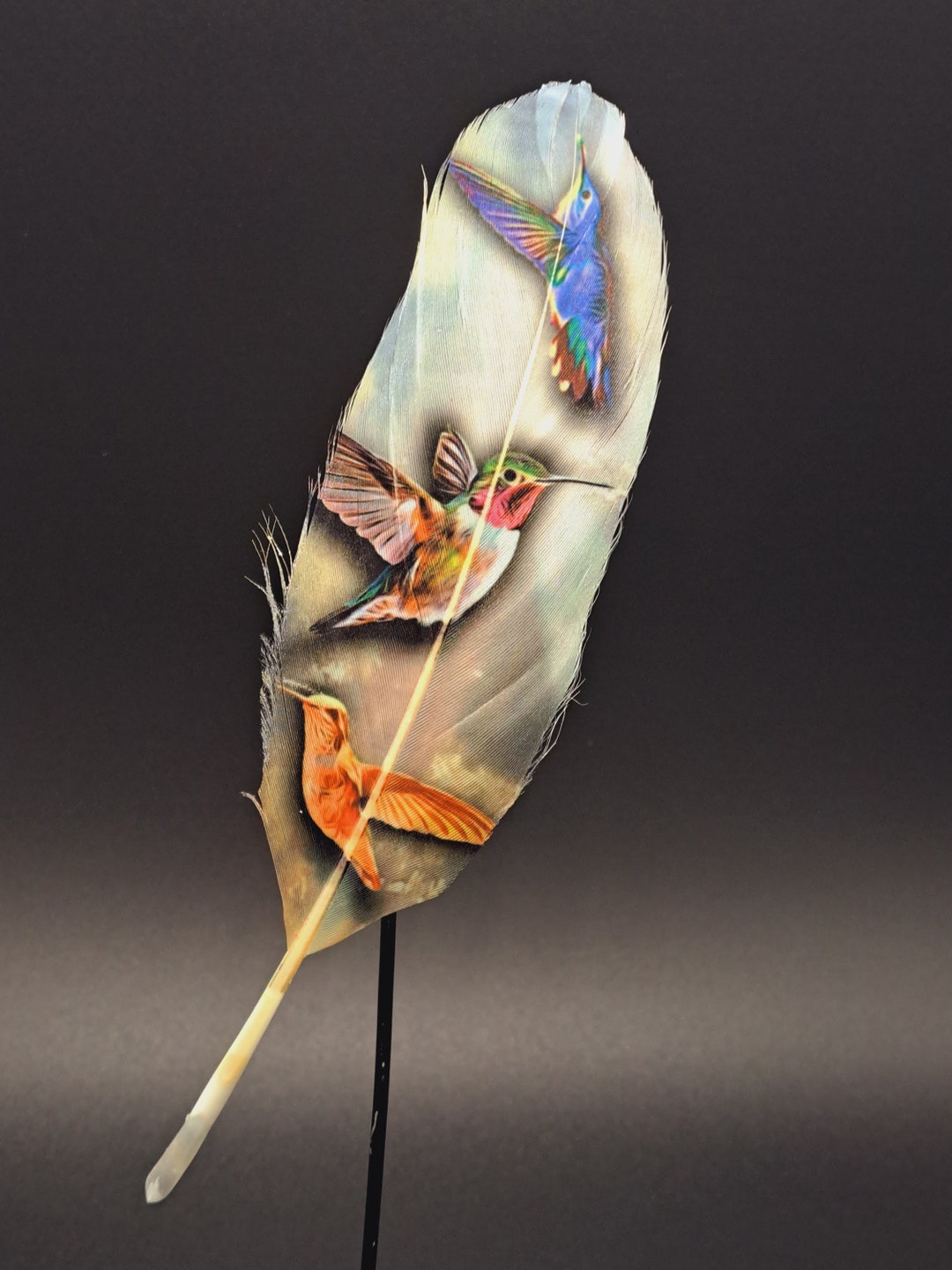 Hummingbirds Hat Feather With Sky Background - Etsy