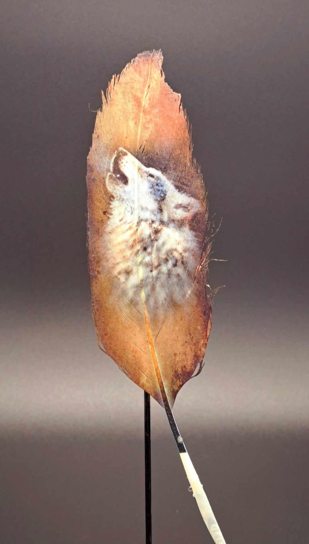 Howlling Wolf Sienna - Etsy