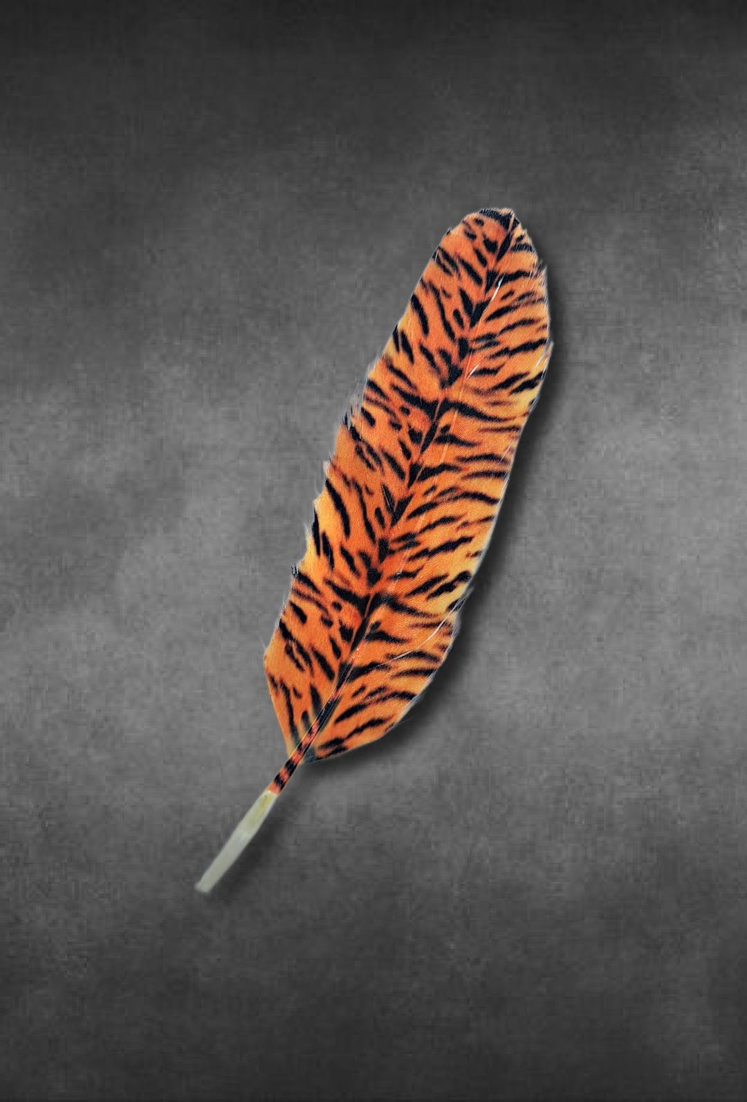Tiger Print Hat Feather - Etsy