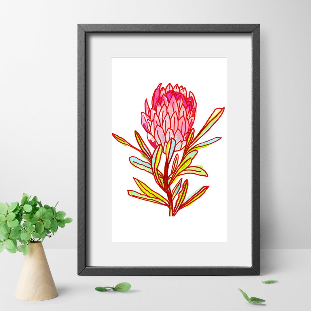 Protea Art Print, Protea Drawing, Botanical Art Print, Wall Art, Floral ...
