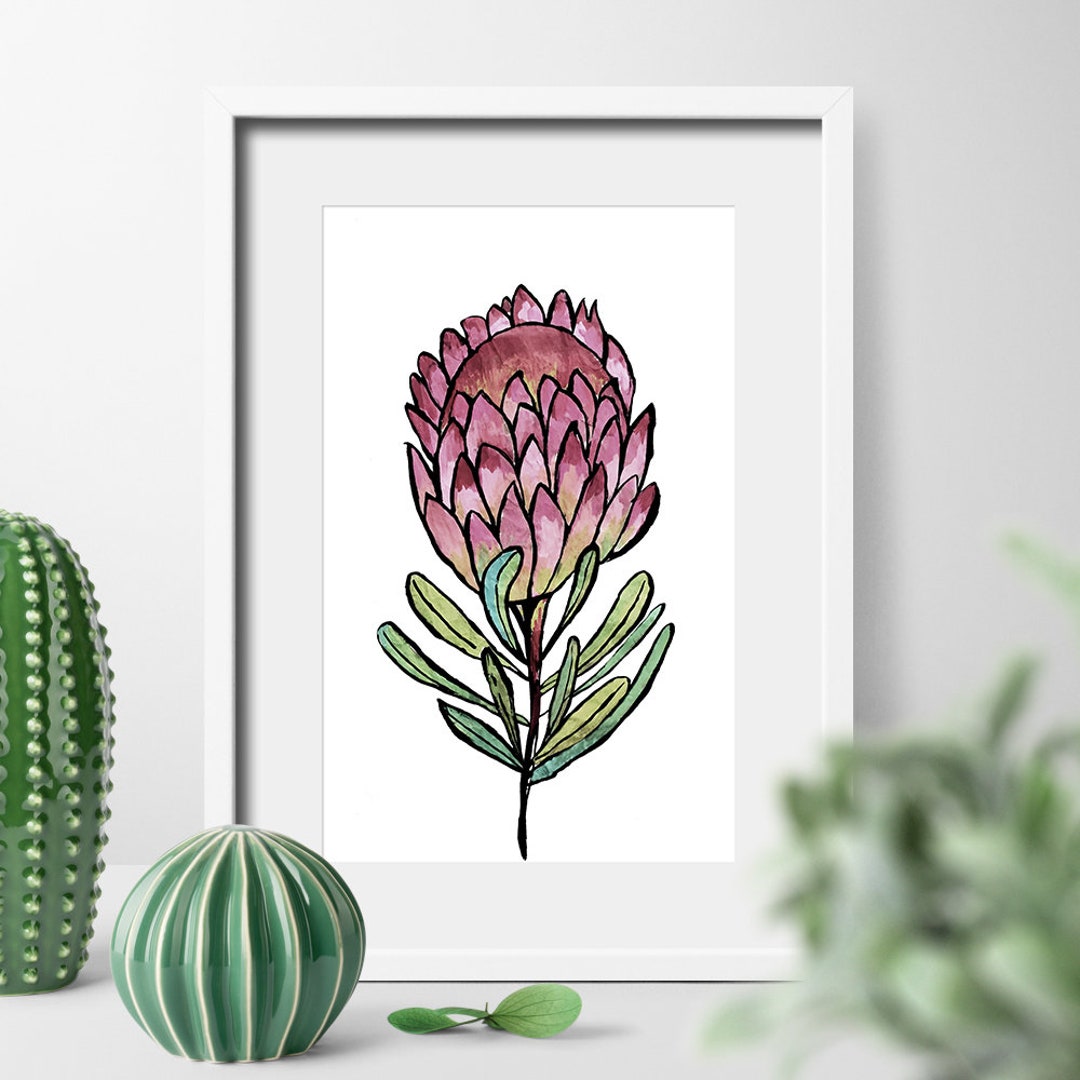 Protea Illustration, Protea Art Print, Botanical Print, Wall Decor ...