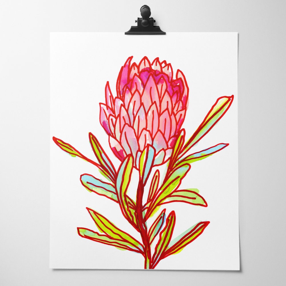 Protea Art Print Protea Drawing Botanical Art Print Wall - Etsy