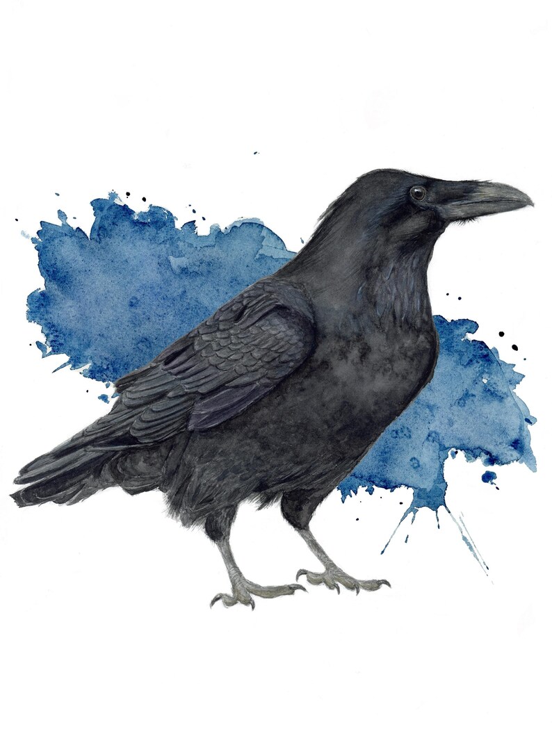 Raven - Watercolor Bird Painting - High Quality Giclee Print - Etsy
