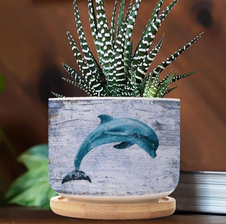 Sea Coastal Ocean Theme Dolphin Small Ceramic Pots Vintage Blue Wood ...