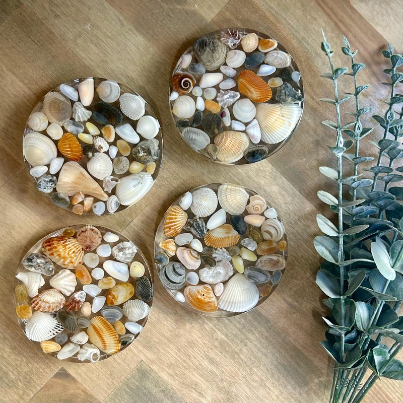 Seashell Coasters - Etsy
