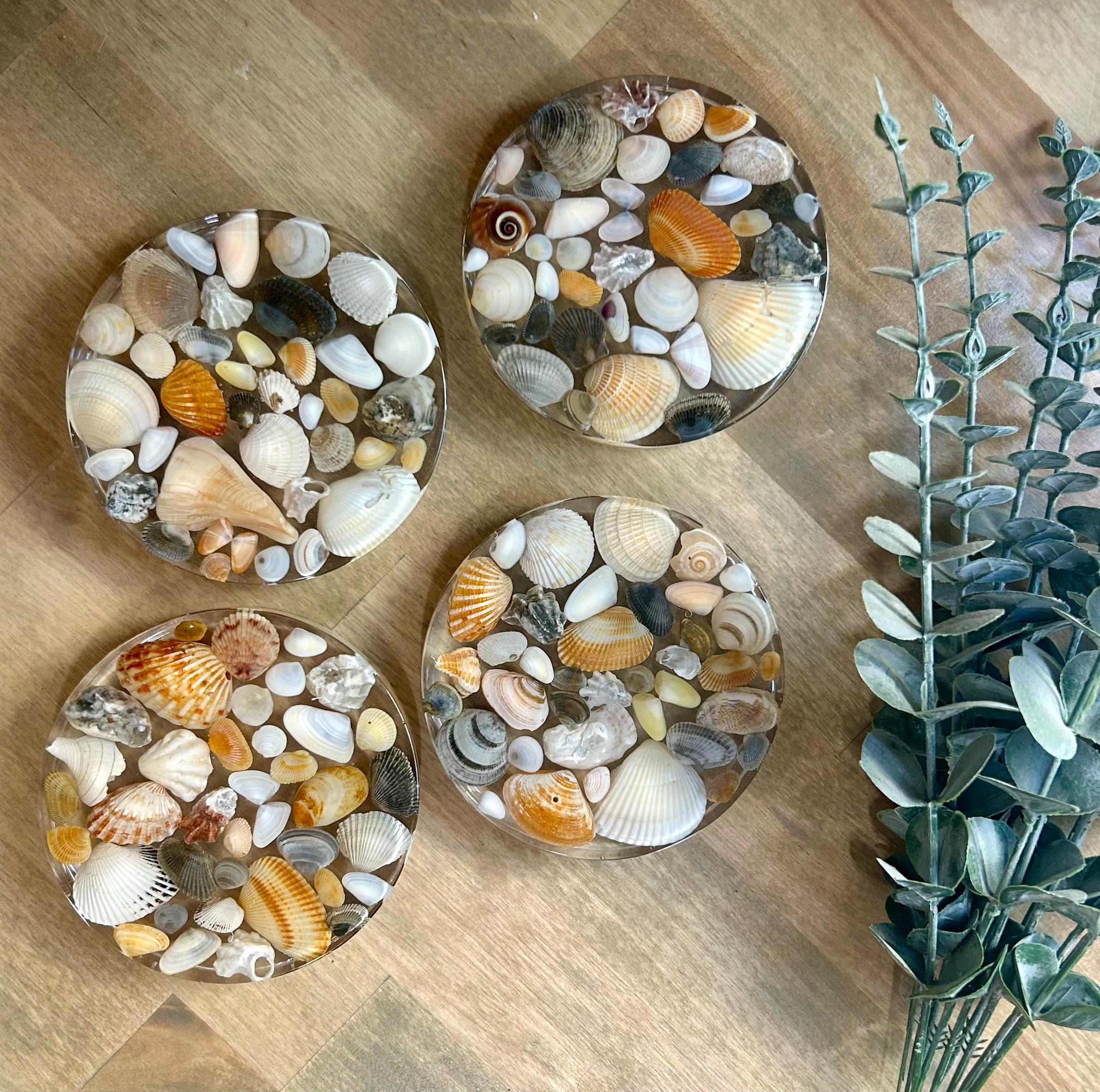 Seashell Coaster (one) - Etsy