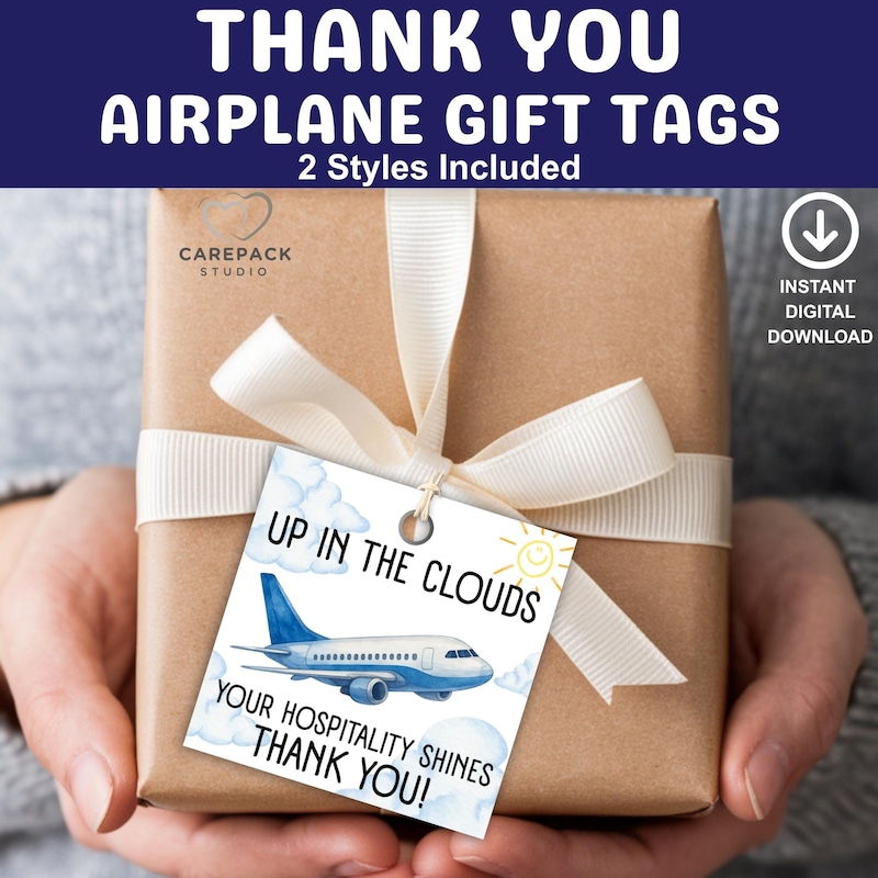 Flight Attendant Stickers - Etsy