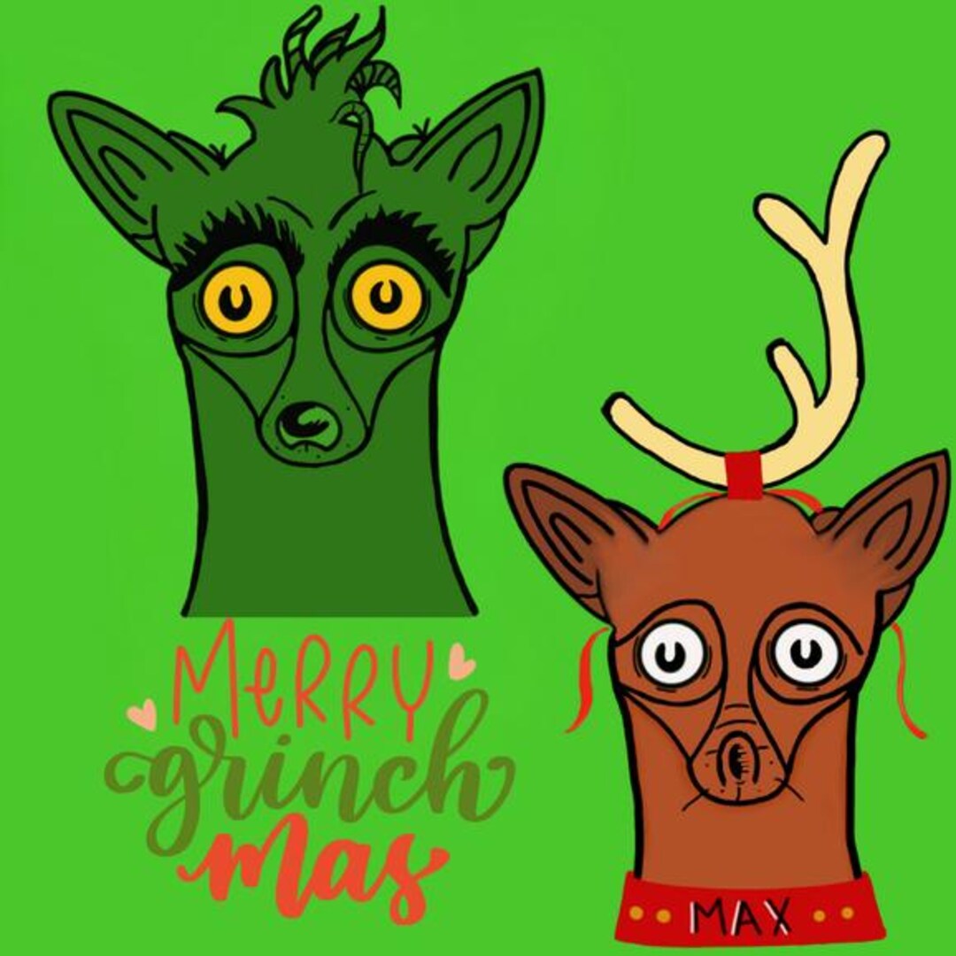 The Grinch and Max Holiday Card - Etsy