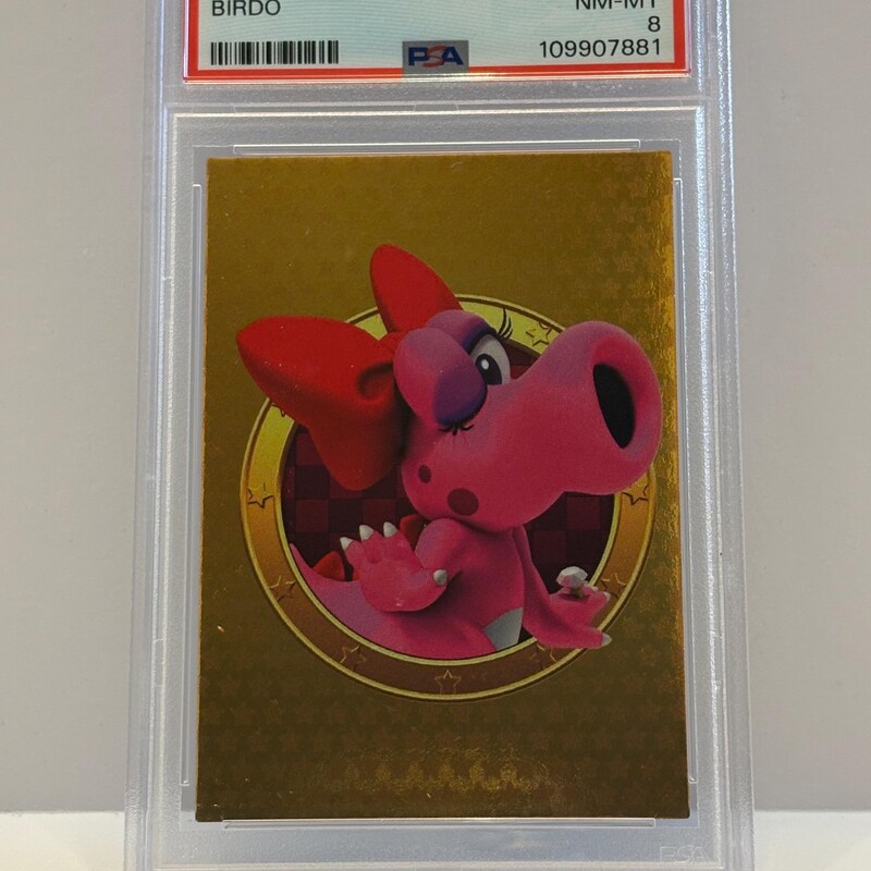 Birdo - Etsy