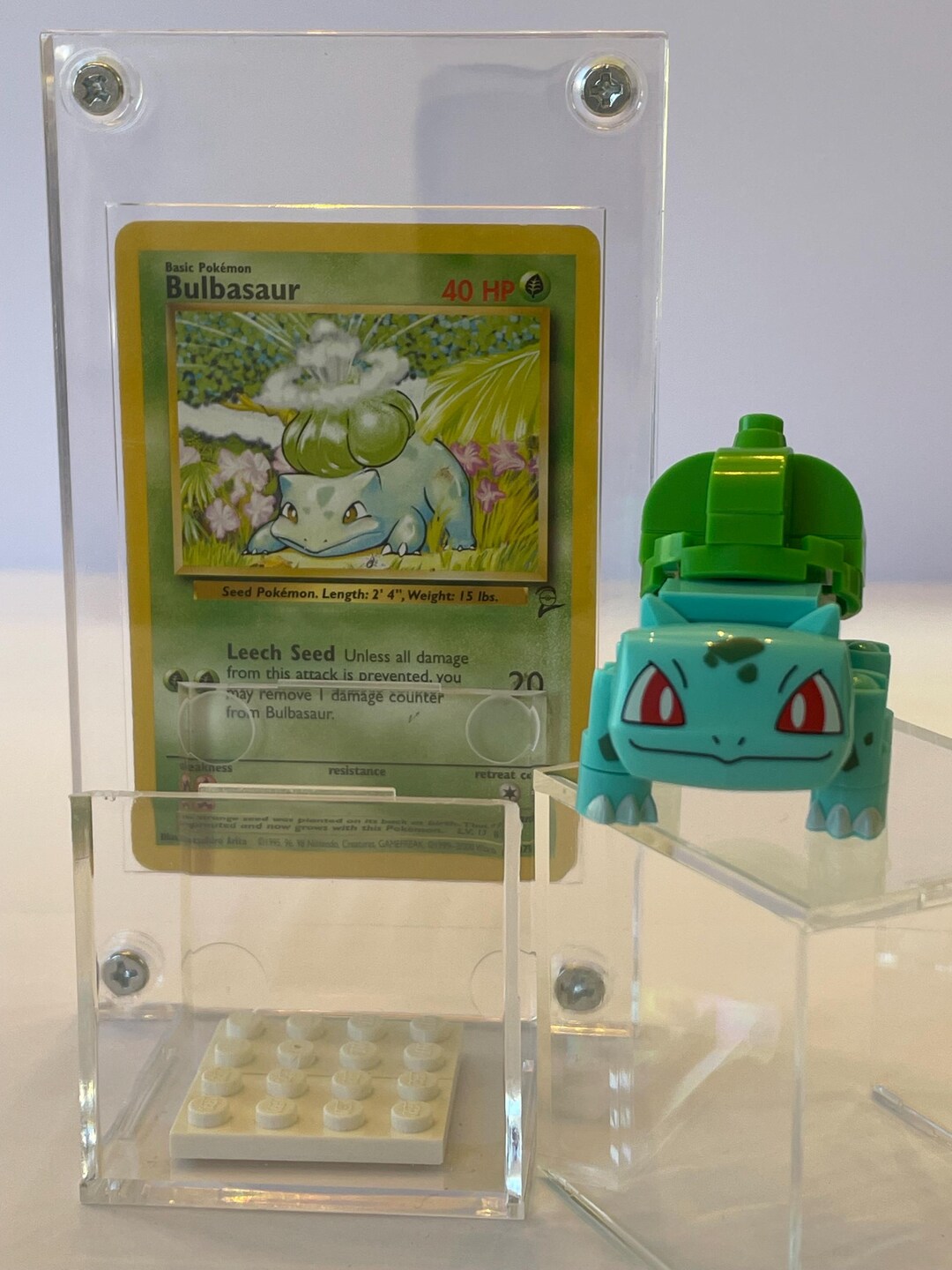 Pokémon Bulbasaur Custom Display - Etsy