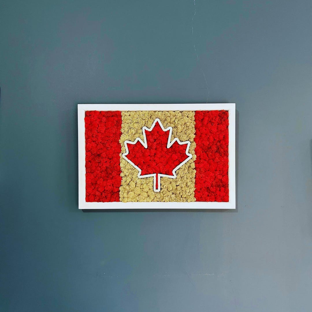Canadian Flag Moss Wall Art Textured Handcrafted Design - Etsy